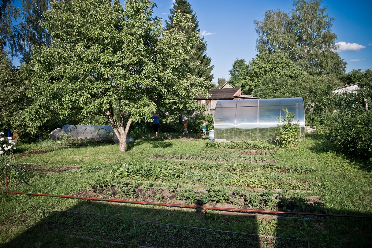 Datscha – Leben im Garten – Fotografie Thorsten Jochim